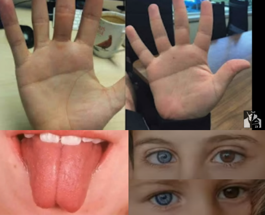 ENFANTS ZOUHRIS — LES AFFAIRES ÉMILE ET LOLA – BibiCabaya